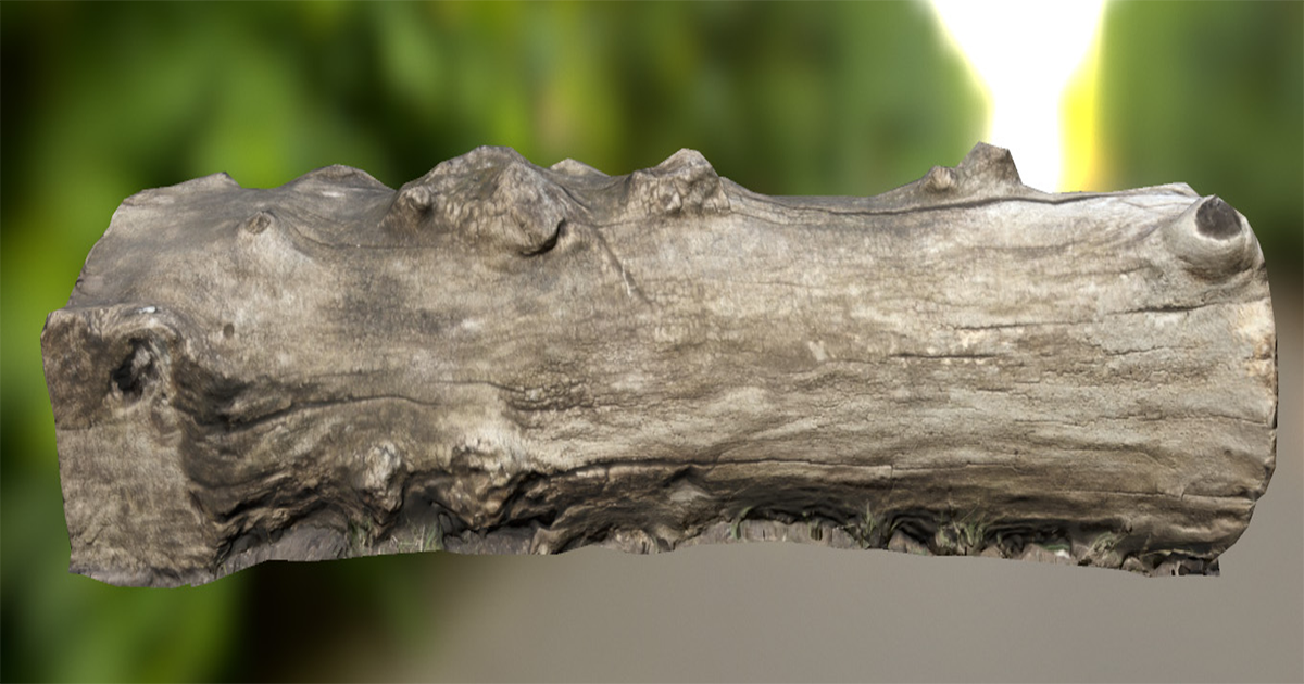 5 Stumps | 3D Trees | Unity Asset Store