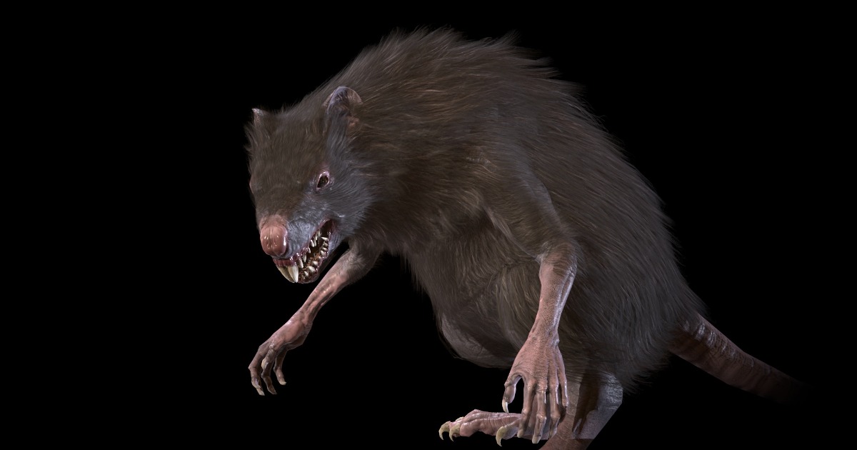 WereRat | 3D Creatures | Unity Asset Store