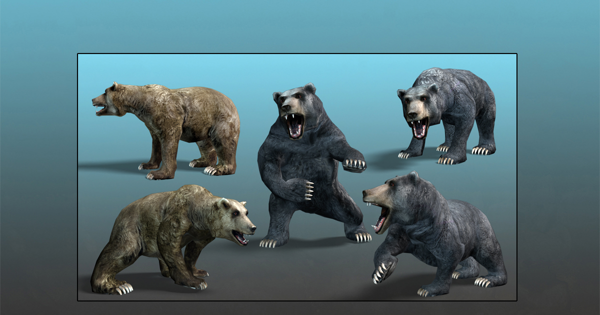 Forest Animal - Bear Grizzly (FULL) | Characters | Unity Asset Store