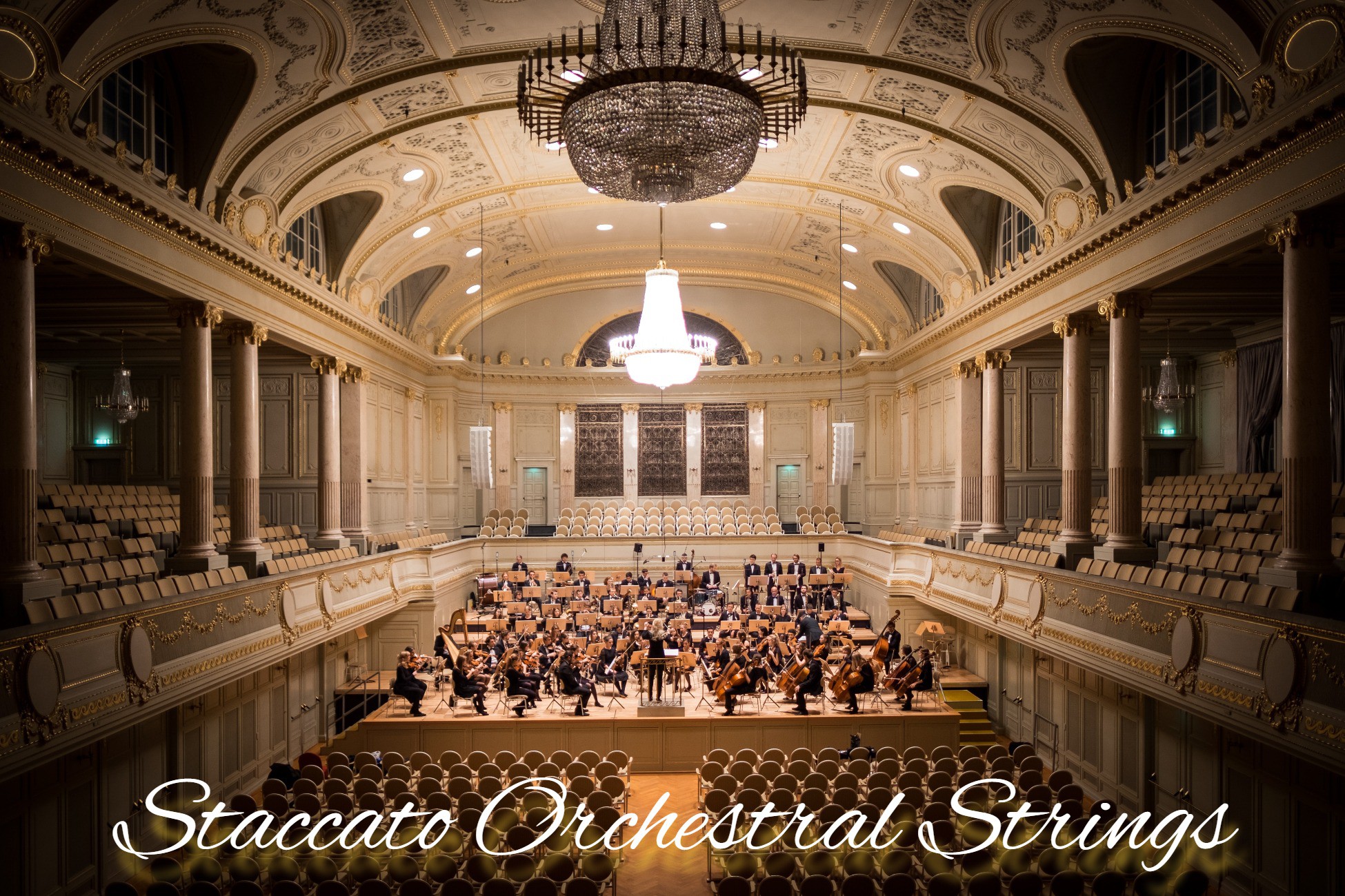 Staccato Orchestral Strings | オーケストラ 音楽 | Unity Asset Store