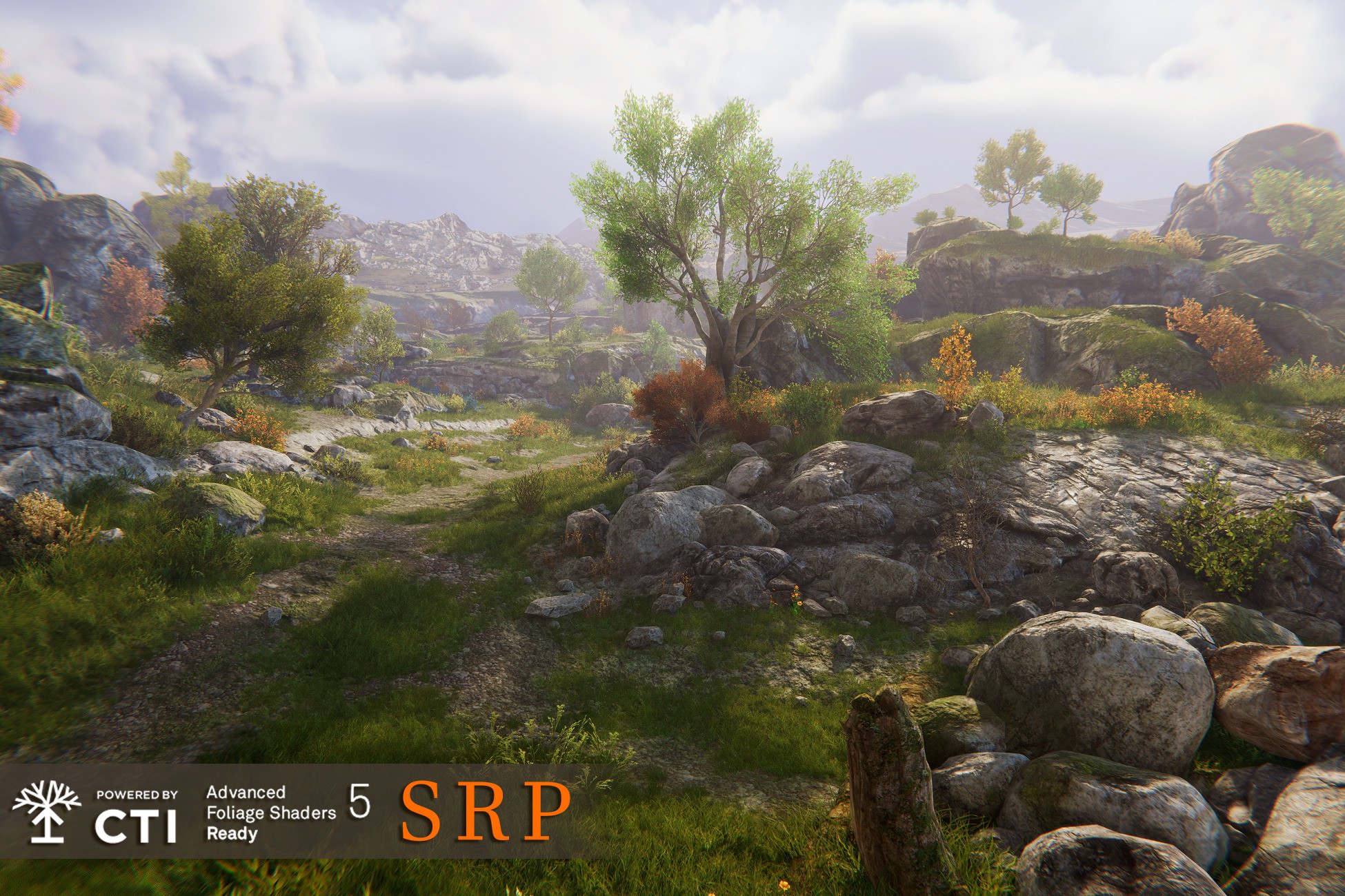 Rocky Hills Environment - Mega Pack (SRP) | 3D Landscapes | Unity Asset ...