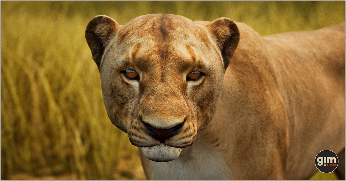 Animalia - Lion (female) | 3D 动物 | Unity Asset Store