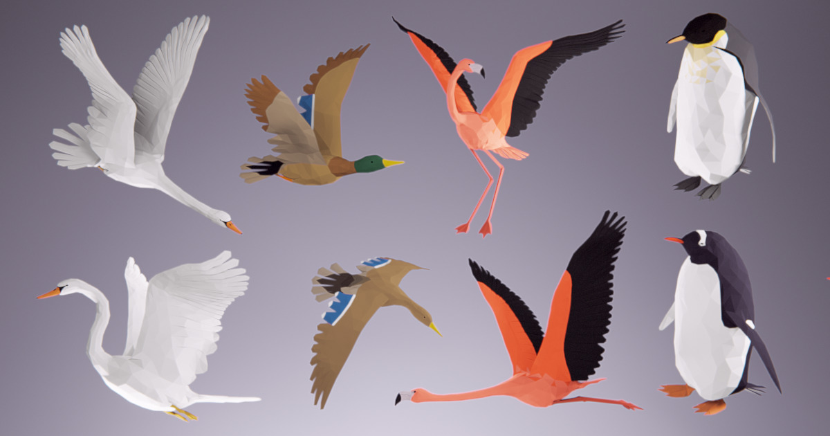 Low Poly Bird: Water Birds Pack | Characters | Unity Asset Store