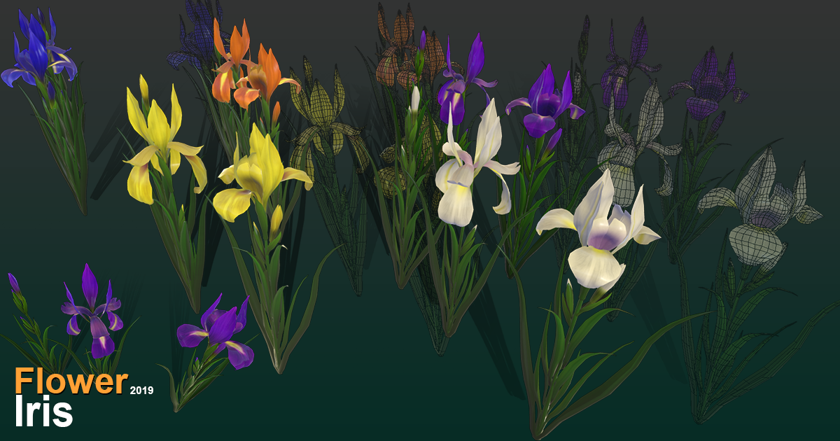 Flower Iris | 3D Flowers | Unity Asset Store