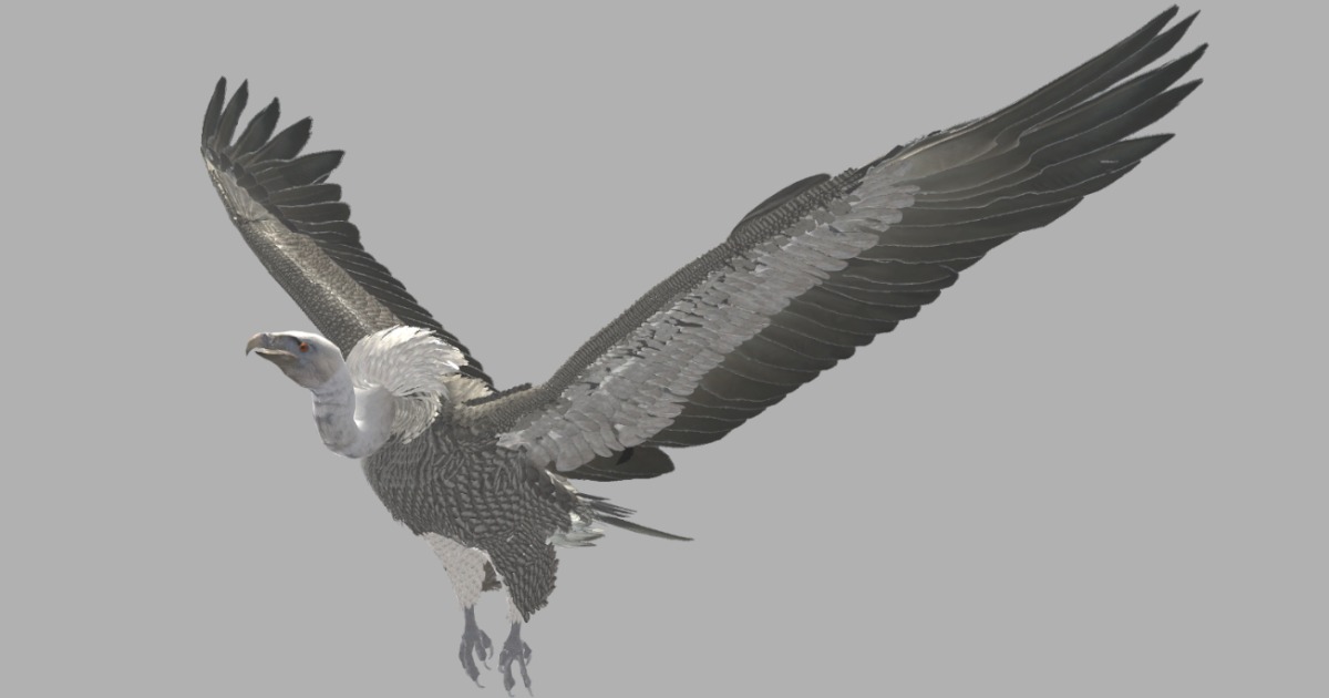 Vulture | Characters | Unity Asset Store
