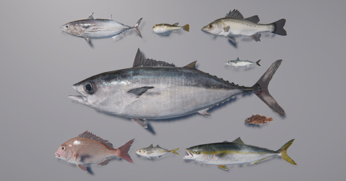 Japanese Sea Fish Pack | Characters | Unity Asset Store