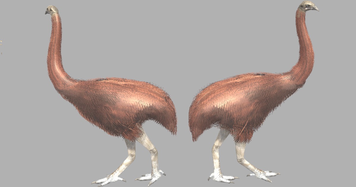 Moa | Characters | Unity Asset Store
