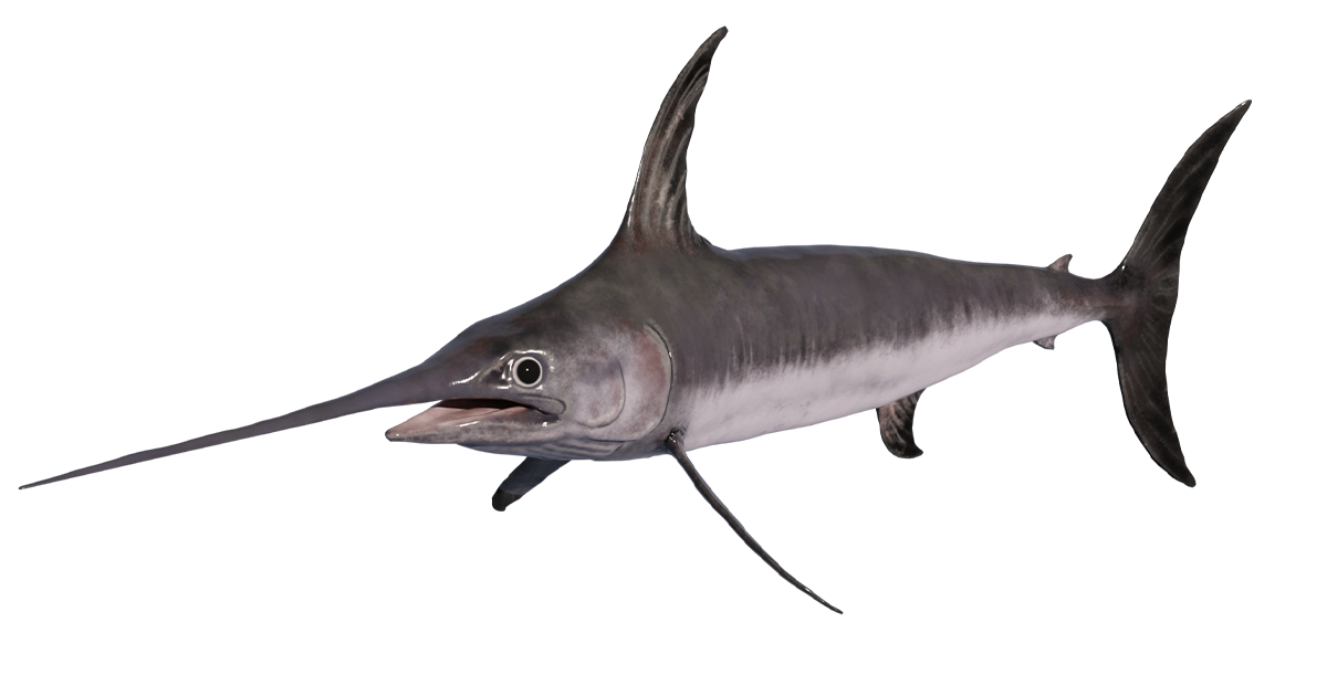 Swordfish | Characters | Unity Asset Store