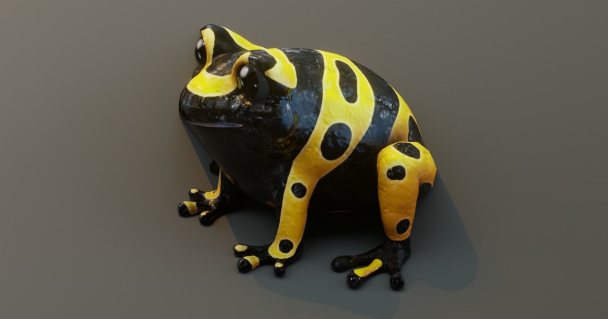 Cartoon Yellow-Banded Frog Rigged 3D Model | 3D Animals | Unity Asset Store