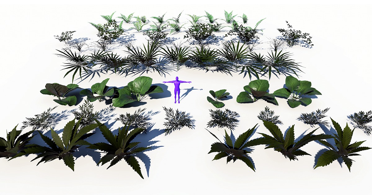 Gen05FernsAndPlants01 | 3D Plants | Unity Asset Store