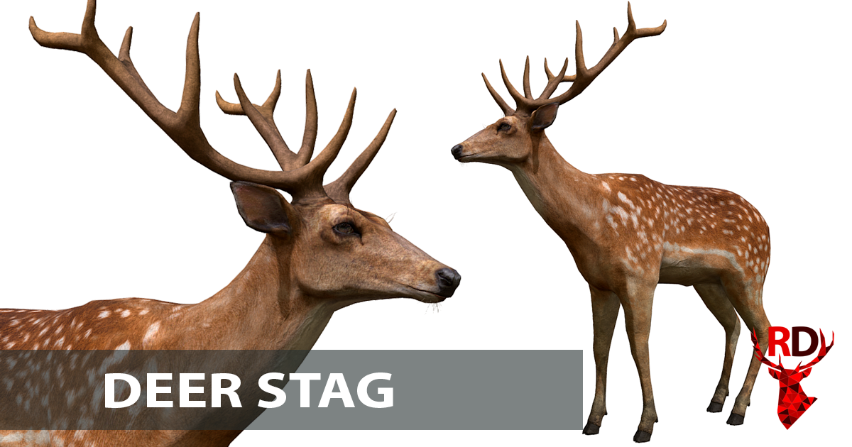 Deer Stag | Characters | Unity Asset Store