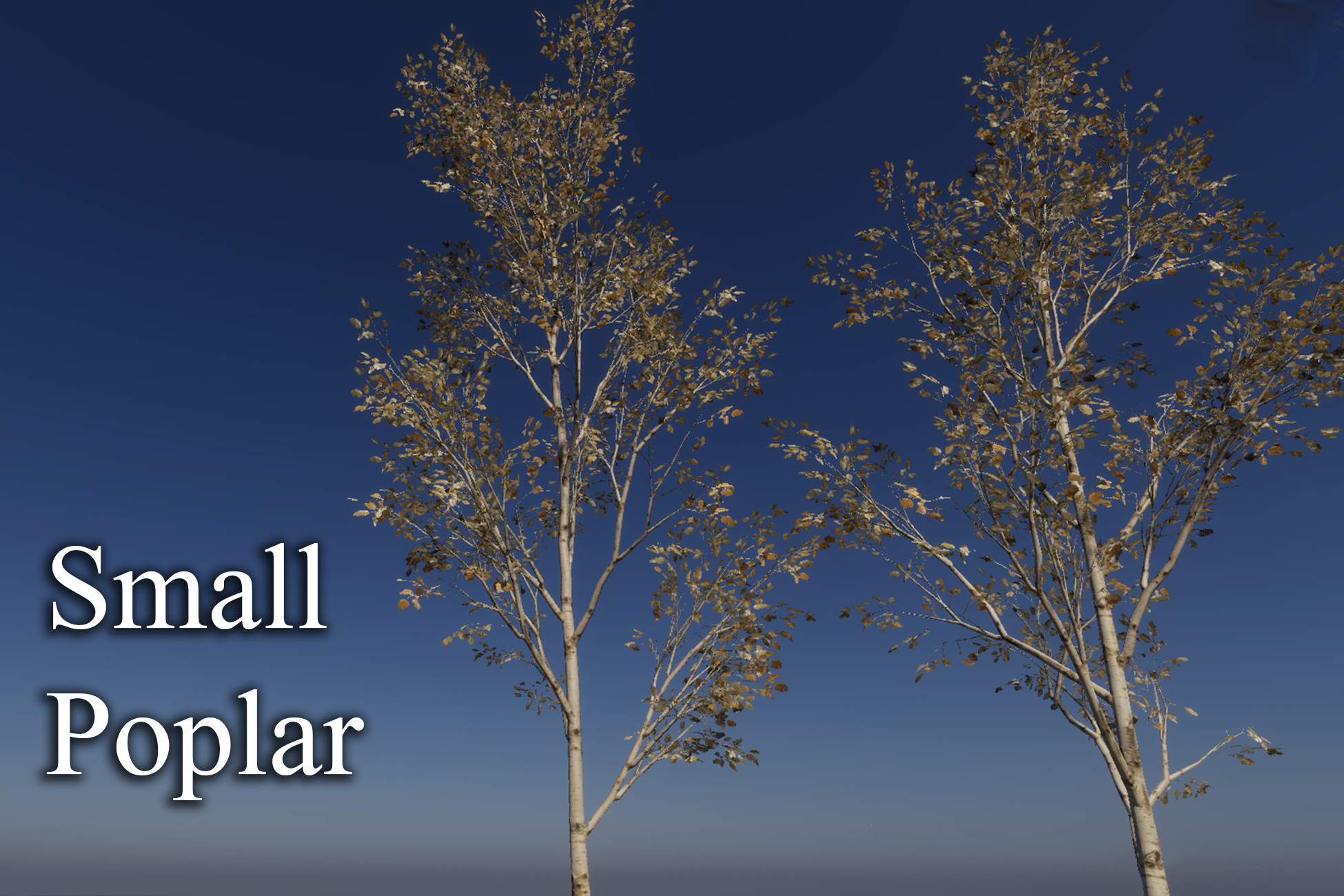 Small Poplar Trees | 3D Trees | Unity Asset Store
