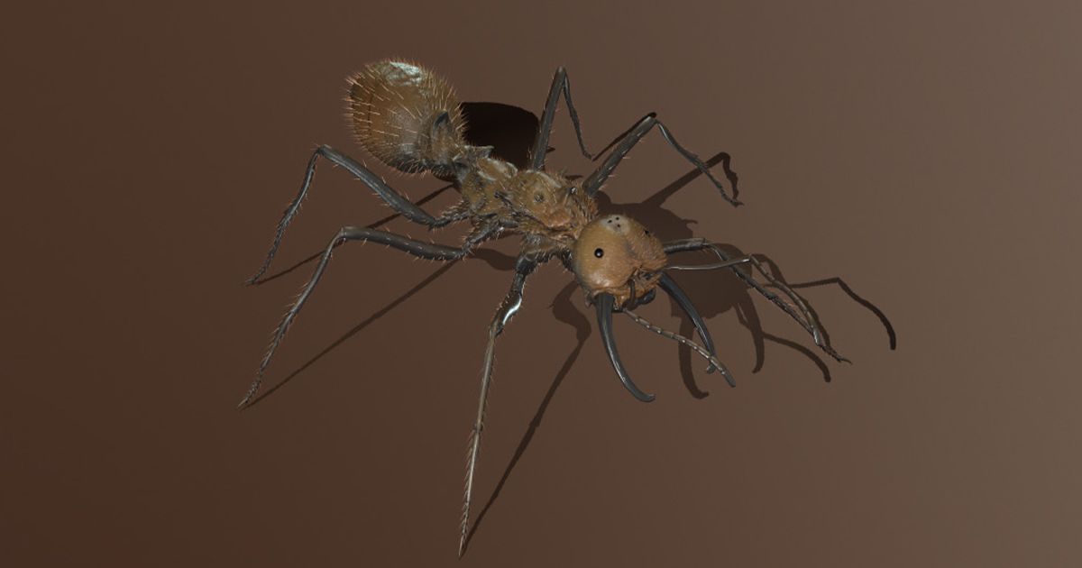 Ant Soldier | Characters | Unity Asset Store