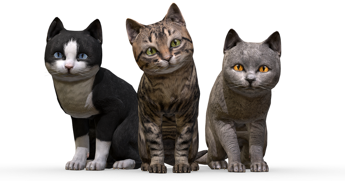 Kittens big pack | Characters | Unity Asset Store