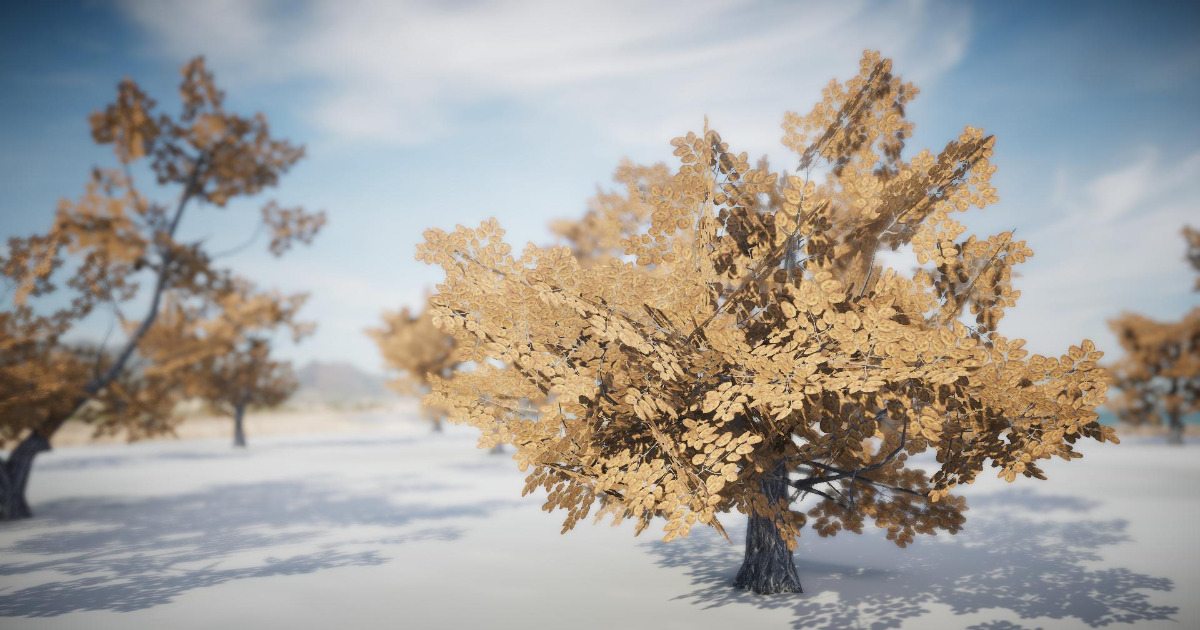 Mobile Realistic Tree 10 | 3D Trees | Unity Asset Store
