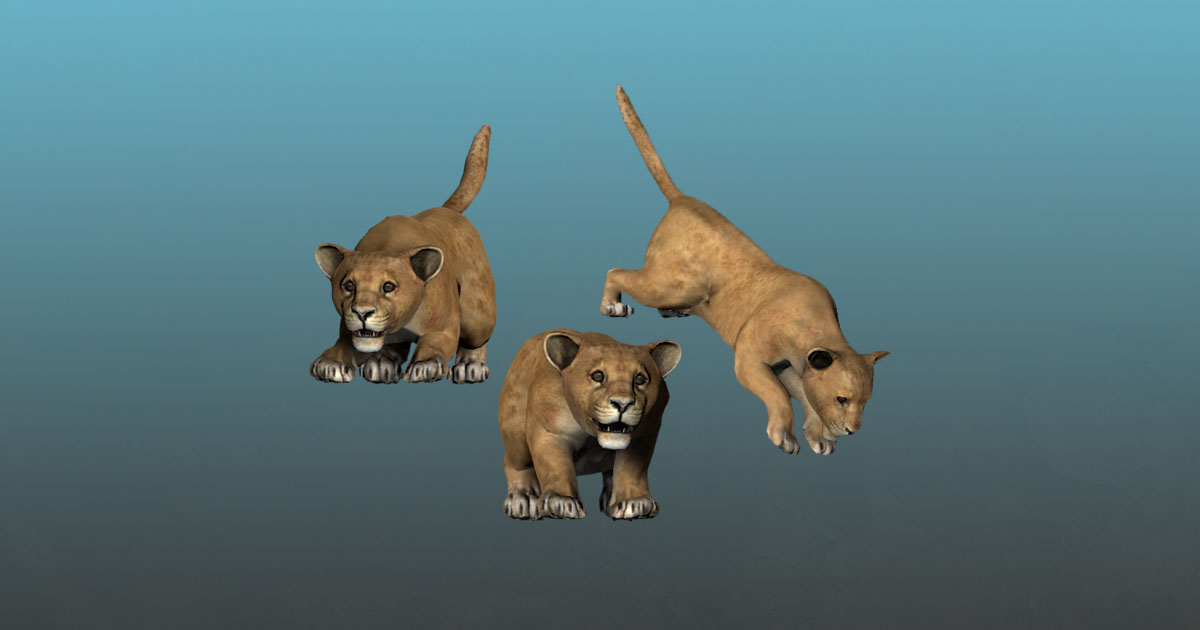 African Animal Baby Lion | Characters | Unity Asset Store