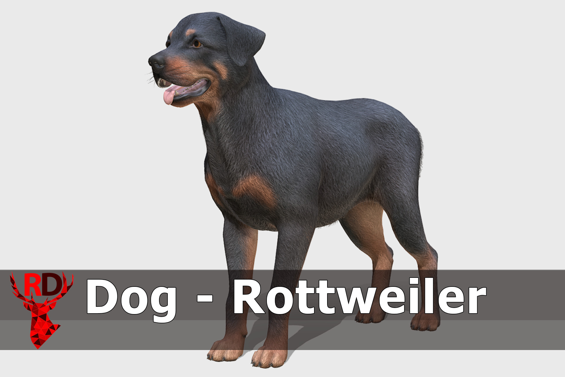 Dog -- Rottweiler | Characters | Unity Asset Store