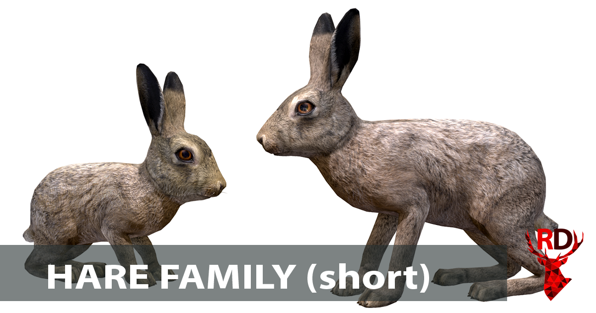 Hare family (short) | 캐릭터 | Unity Asset Store