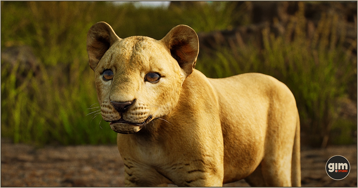 Animalia - Lion (young) | 3D Animals | Unity Asset Store