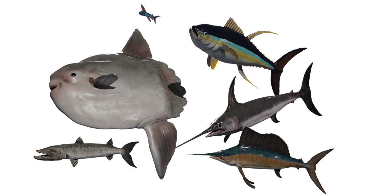 Sea fish pack | Characters | Unity Asset Store