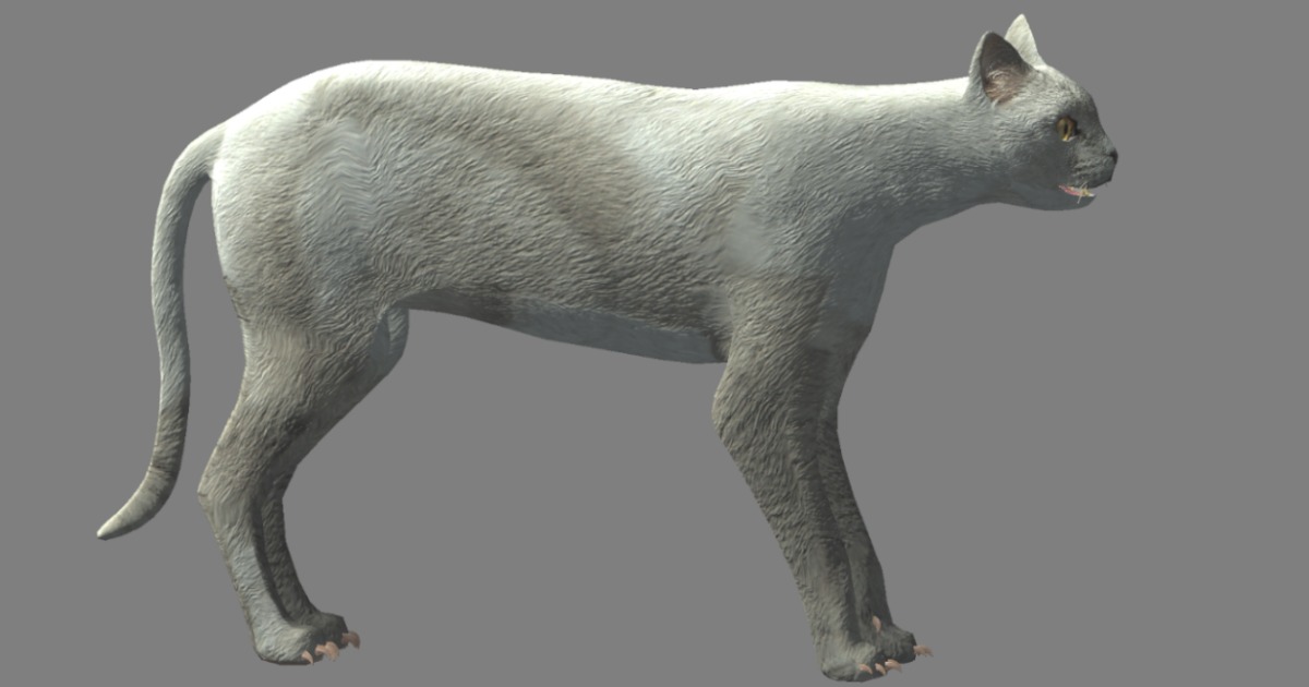 Grey Cat | Characters | Unity Asset Store