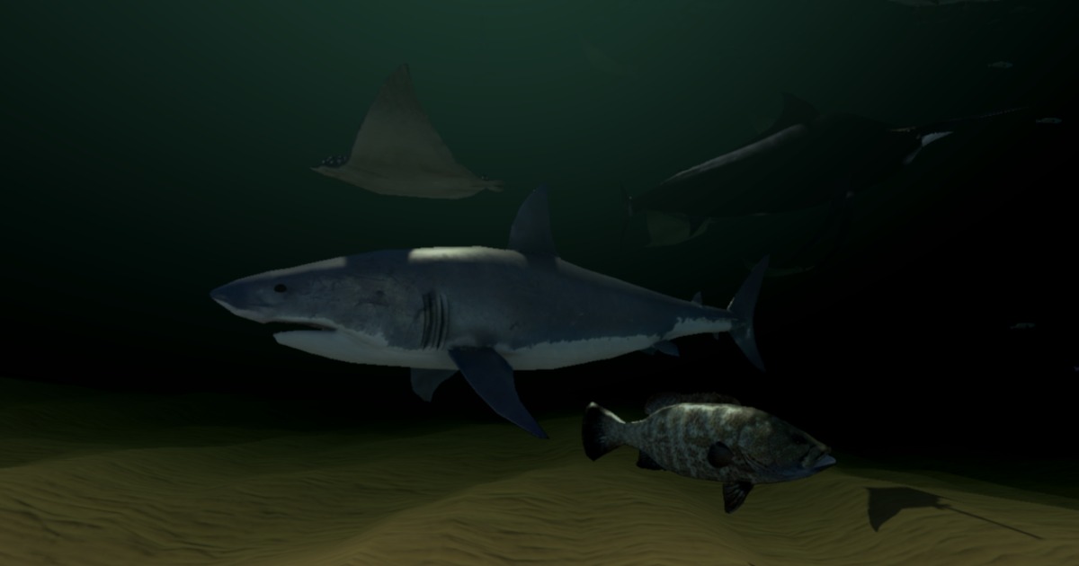 Saltwater Fish URP Complete Pack | Characters | Unity Asset Store