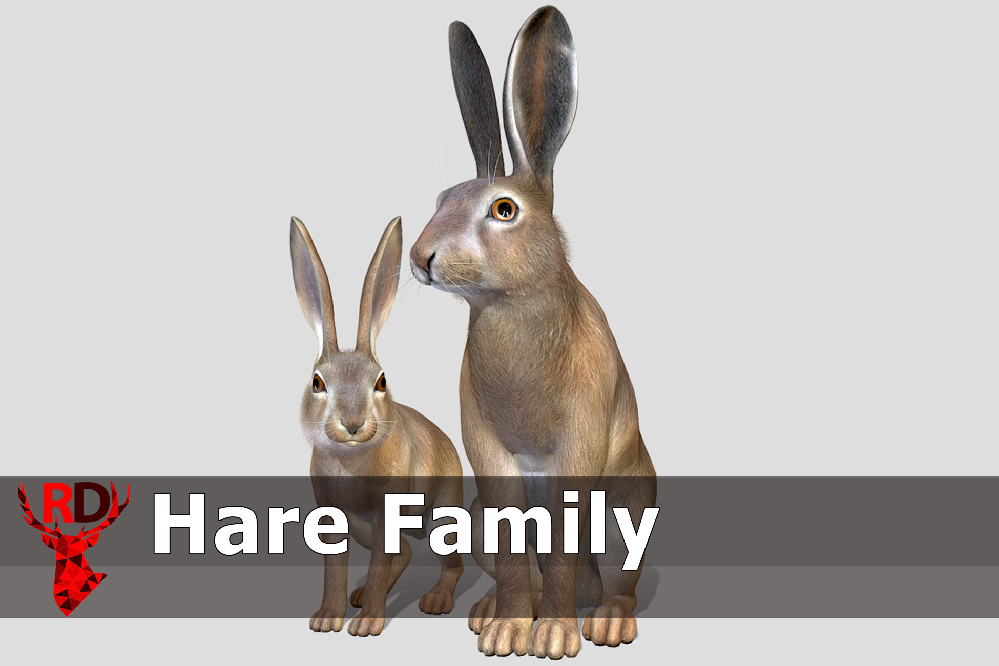 Hare Family | Characters | Unity Asset Store