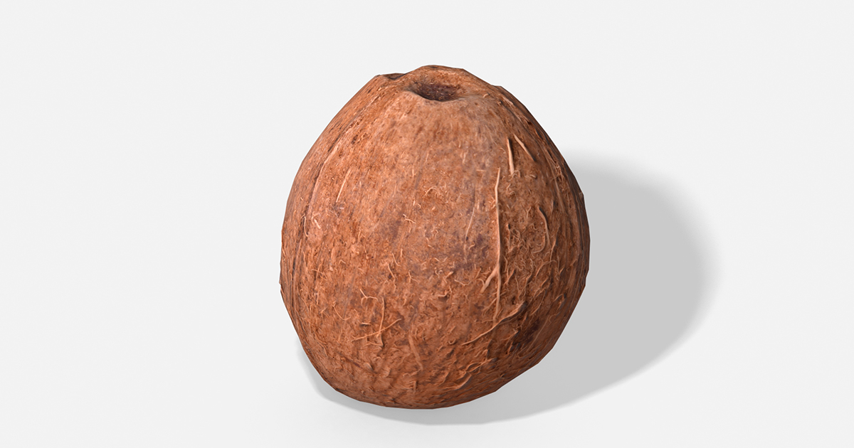 Exotic Fruit Coconut - Photoscanned PBR | 3D Food | Unity Asset Store