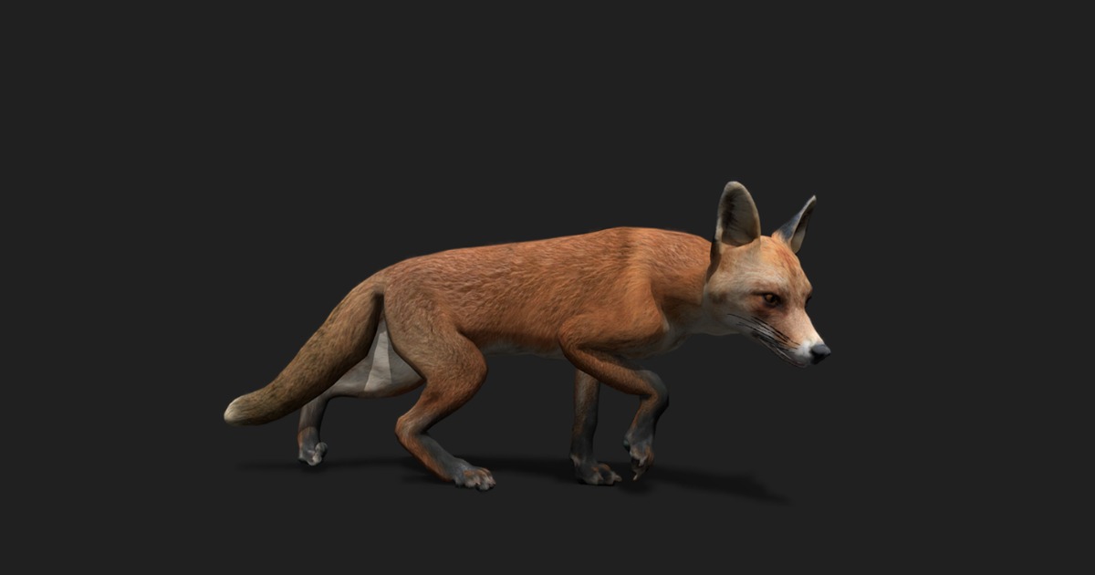 Realistic Animated Fox 2.0 | Characters | Unity Asset Store