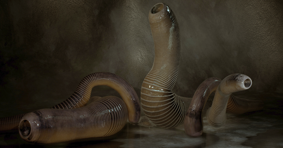 Leeches [Scripted] | 3D Characters | Unity Asset Store