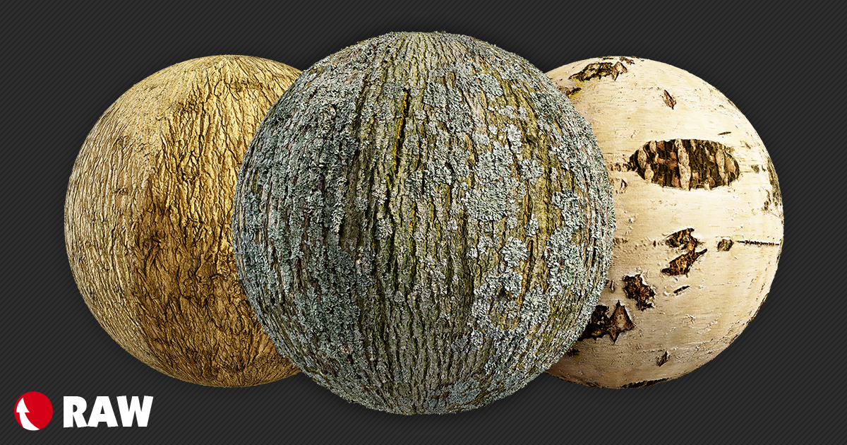 Bark Textures Pack | 2D Wood | Unity Asset Store