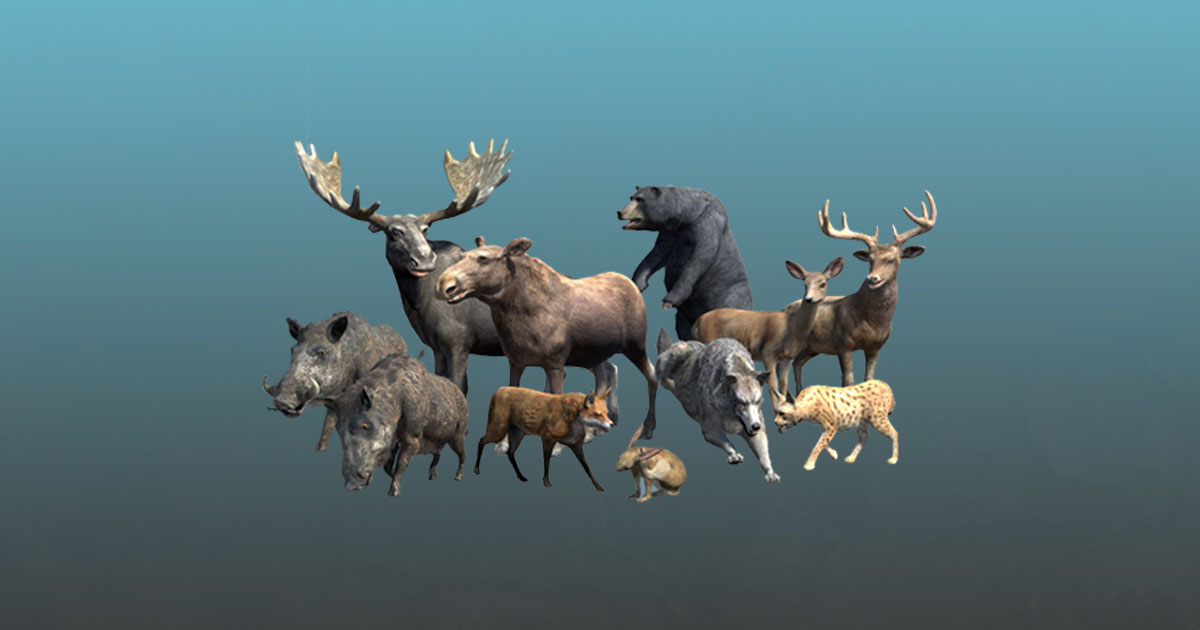 Forest Animal Pack 1 | Characters | Unity Asset Store