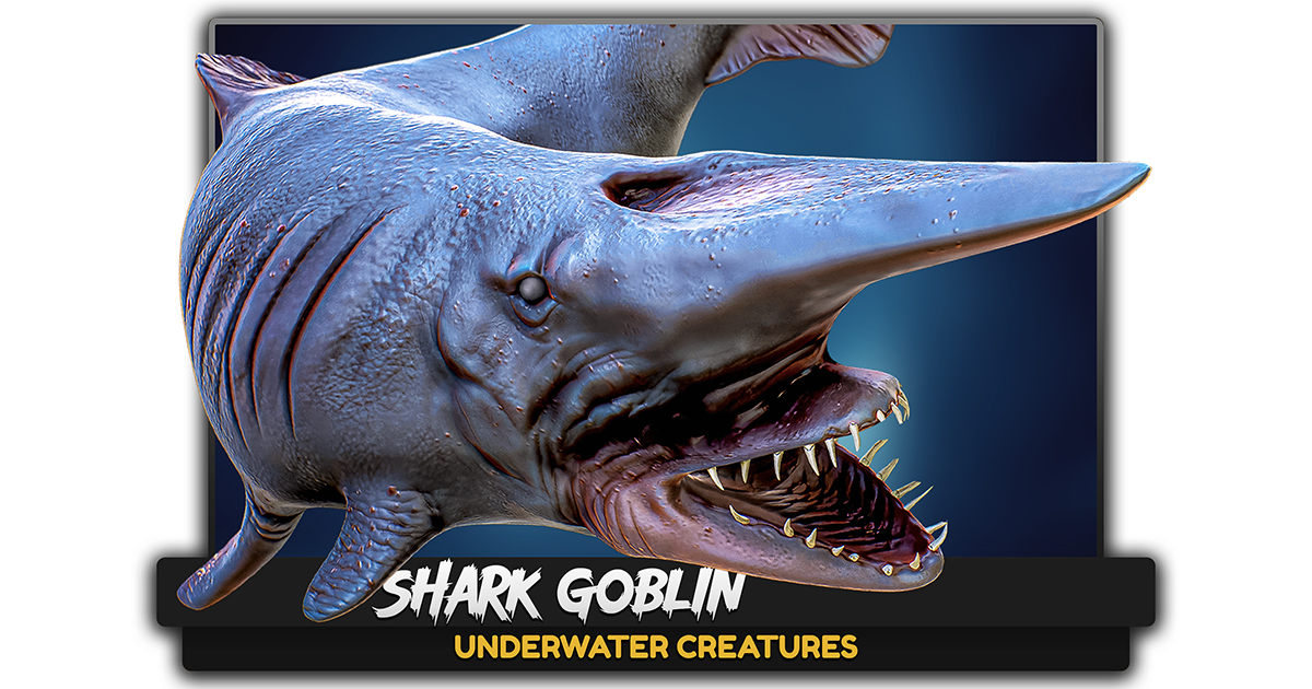 The Shark Goblin/ Low poly fish/ Ocean predator/ Fish 3d model Art by ...