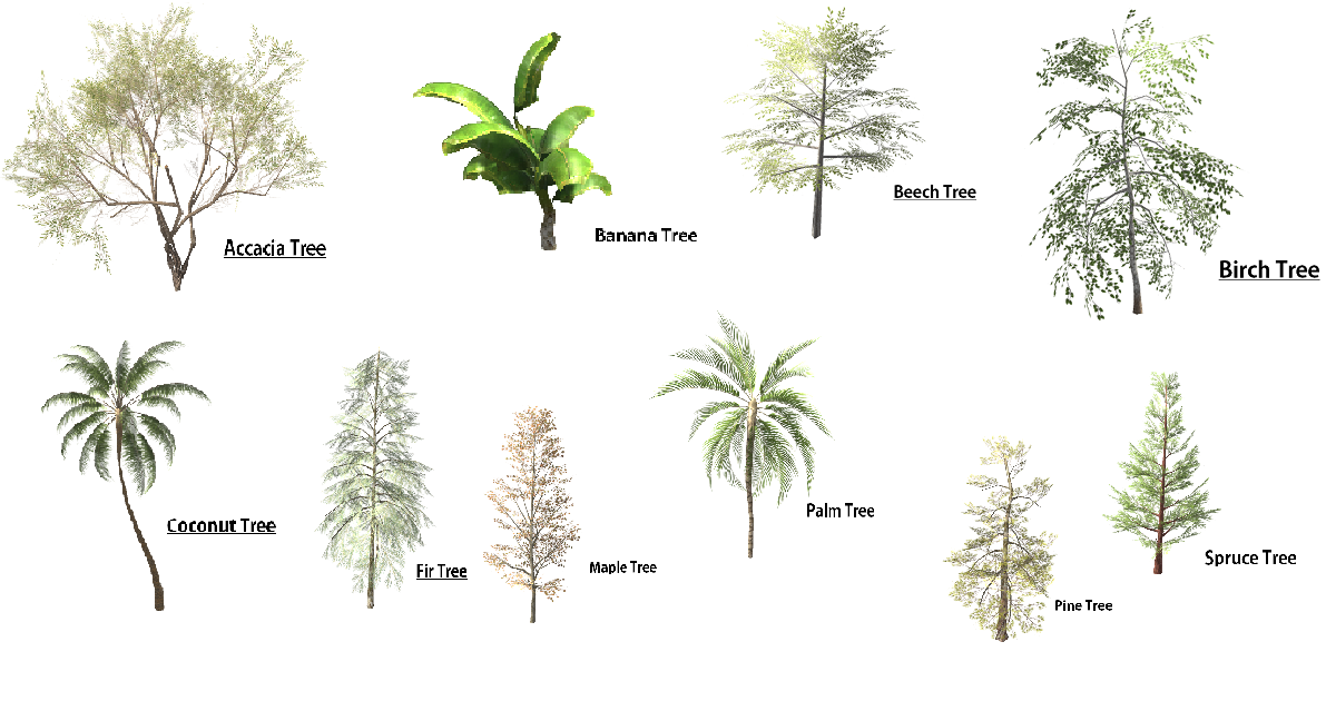 Different low poly Tree collection | 3D 나무 | Unity Asset Store