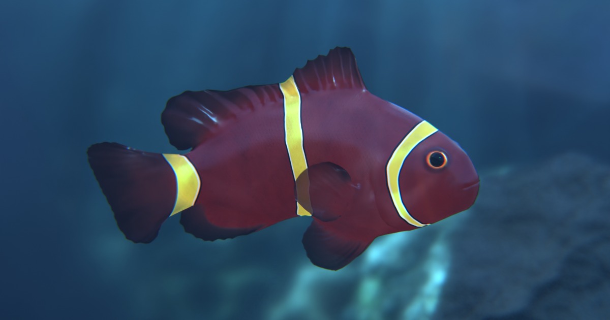 Clownfish Gold Stripped Maroon | Characters | Unity Asset Store
