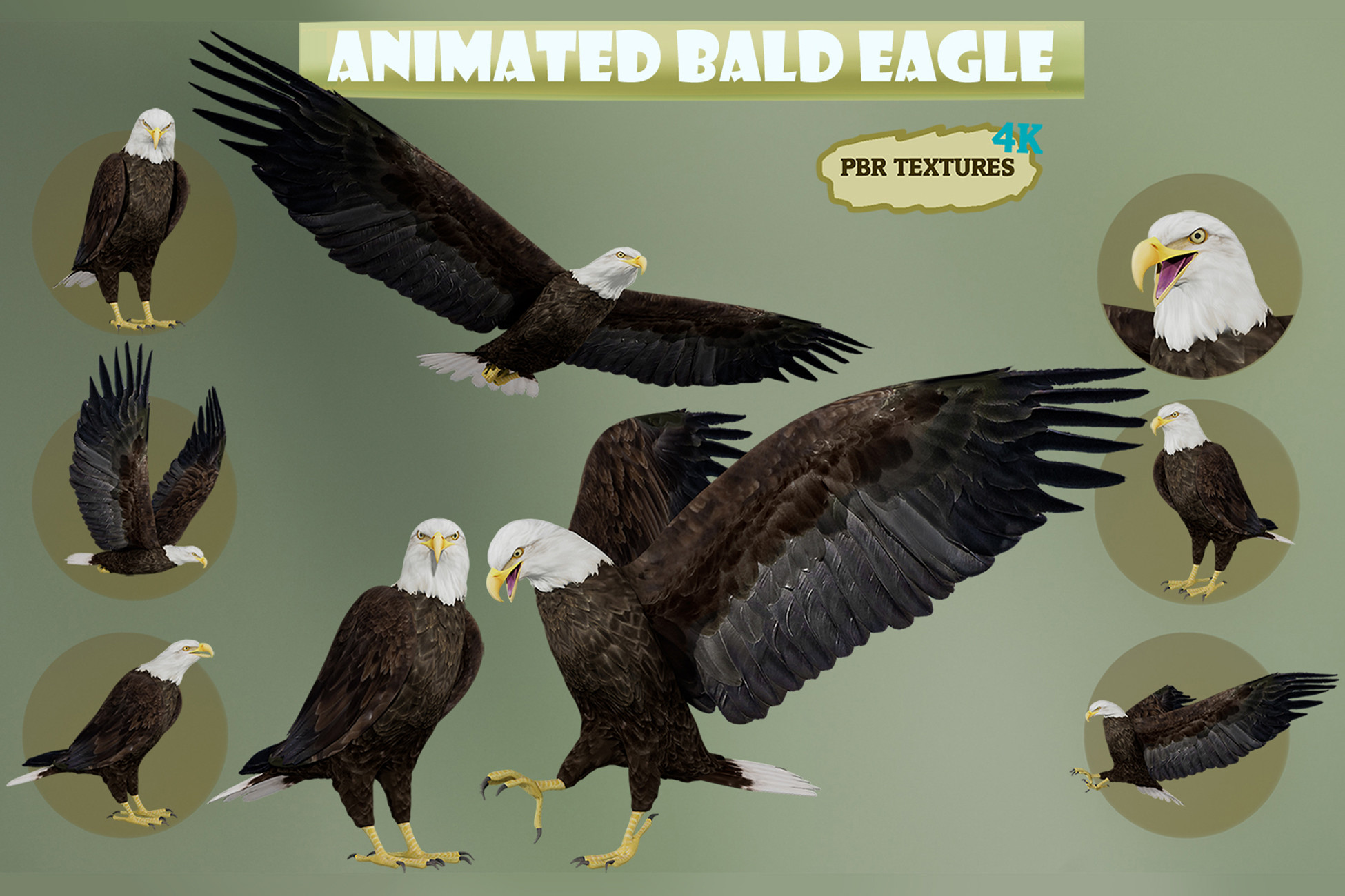 Realistic Animated Bald Eagle | Characters | Unity Asset Store