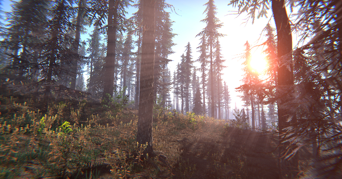 Spruce Trees Pack | 3D Vegetation | Unity Asset Store