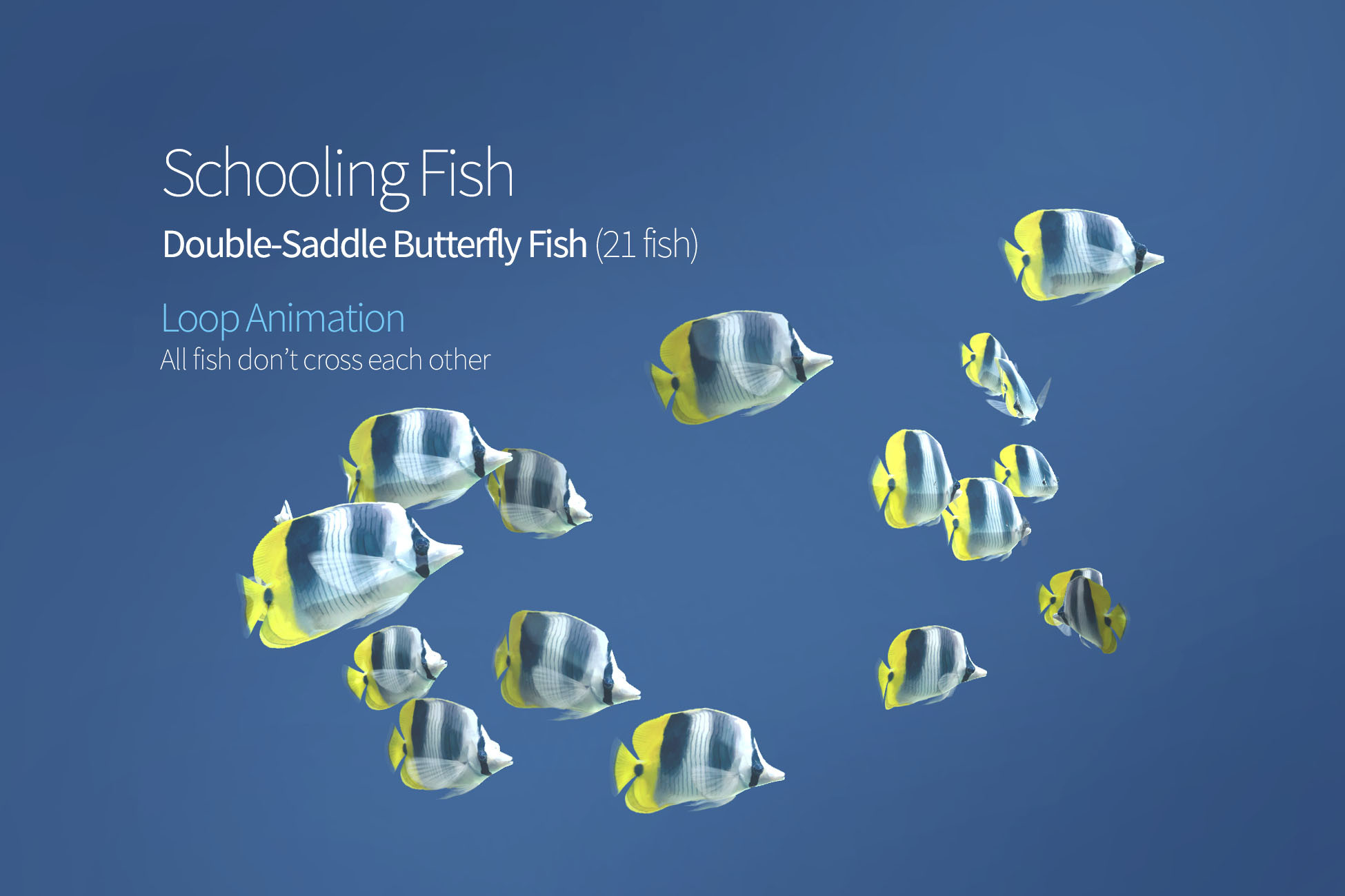Schooling Double-Saddle Fish | 캐릭터 | Unity Asset Store
