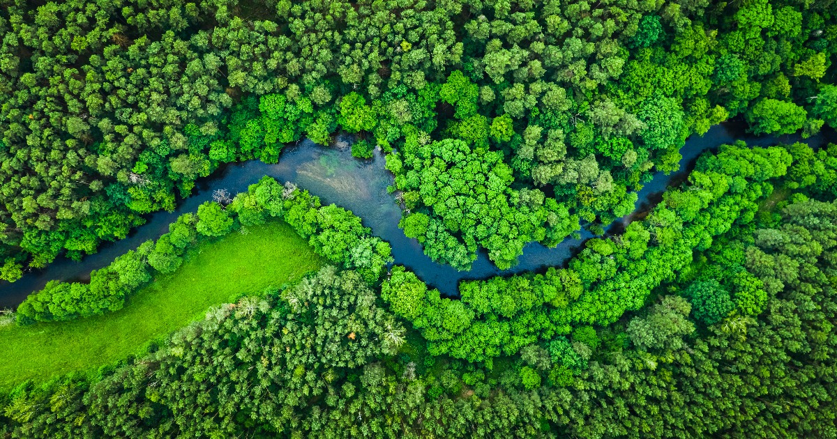 Environment Sounds Pack | Audio Sound FX | Unity Asset Store