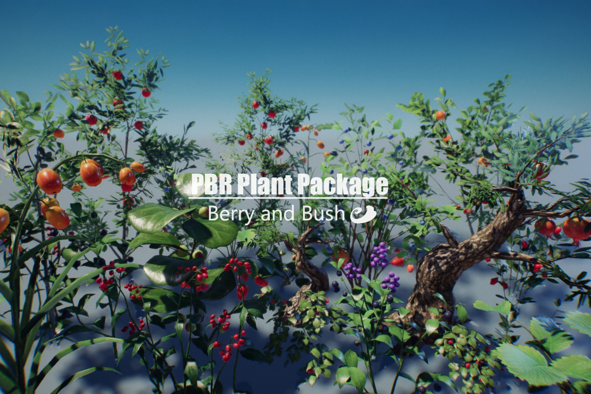 Bush And Berry | 3D Vegetation | Unity Asset Store