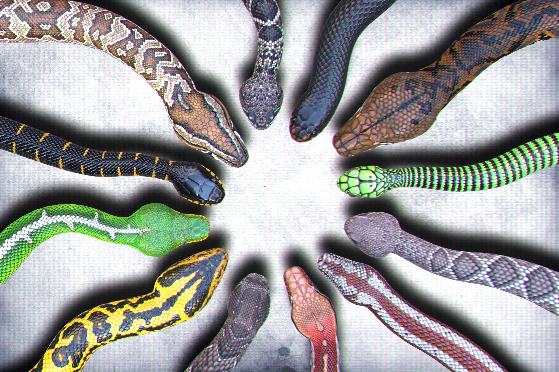 Animated Snakes PBR Ultimate Vol 2 | 角色 | Unity Asset Store