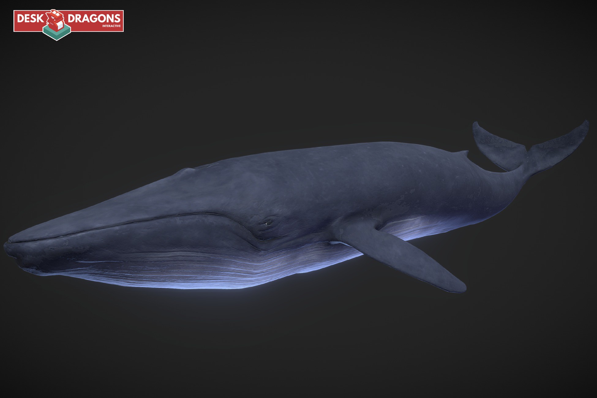 · Blue Whale · | Characters | Unity Asset Store