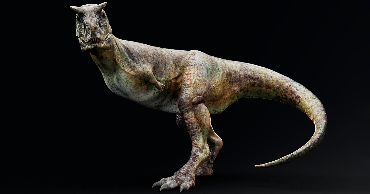 Carnotaurus Real dinosaurs Series | 3D Animals | Unity Asset Store