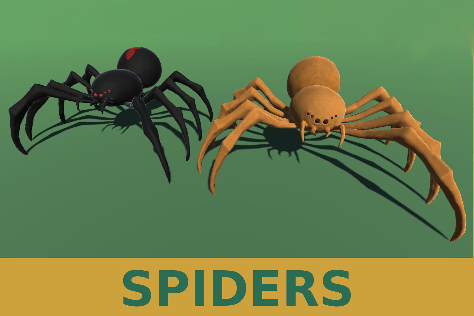 fantasy spider | Characters | Unity Asset Store