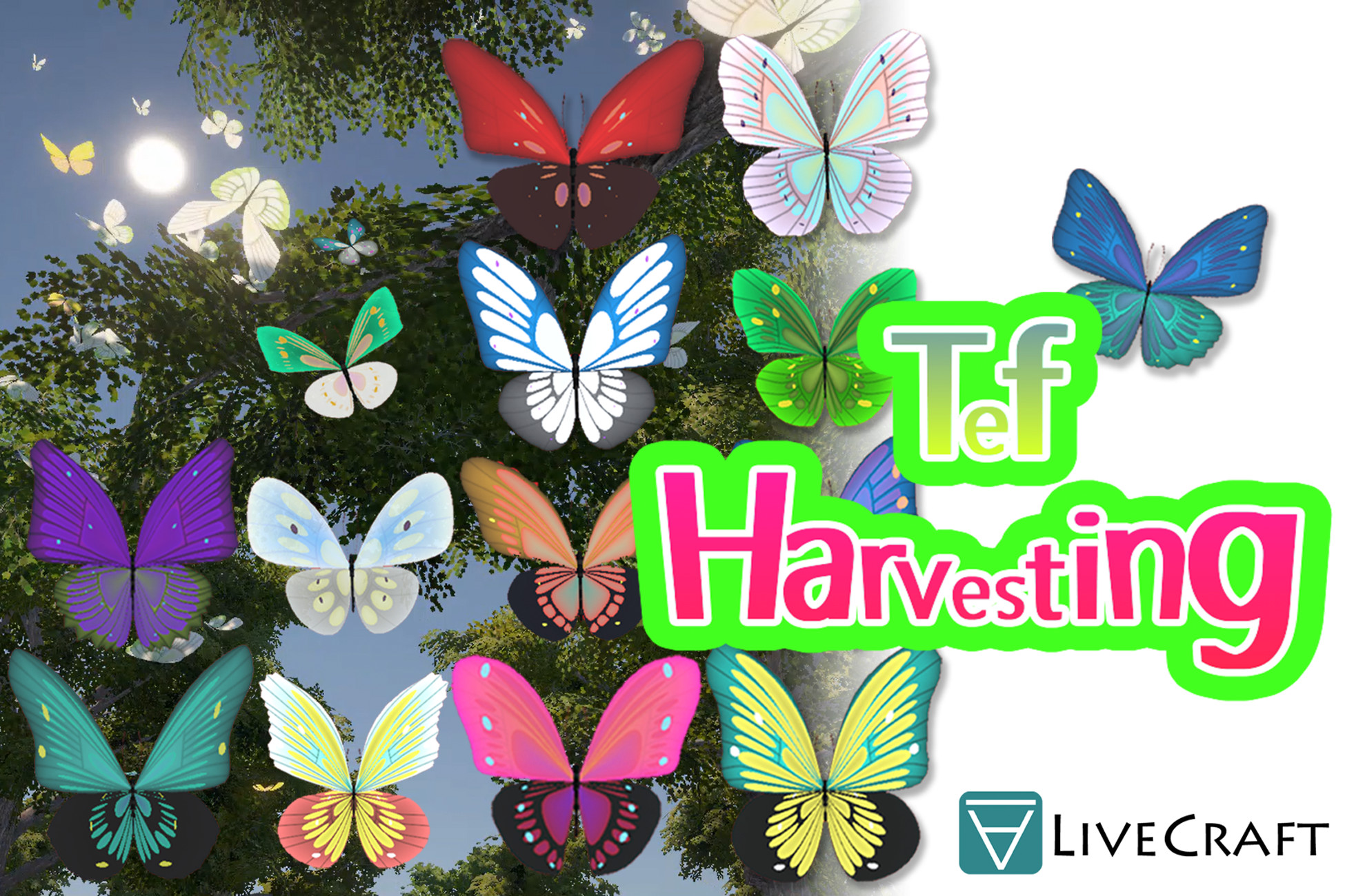 Tef@LiveCraft | Particles/Effects | Unity Asset Store