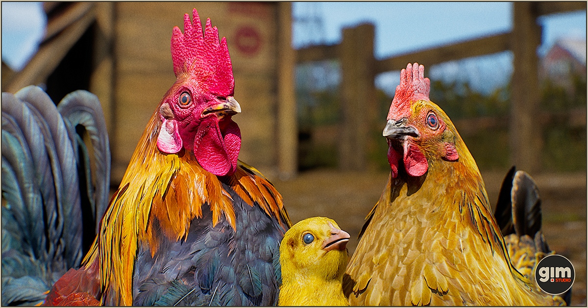 Animalia - Chicken (pack) | Characters | Unity Asset Store