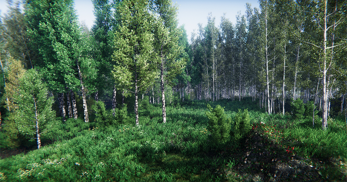 Birch Forest Environment | 3D Vegetation | Unity Asset Store
