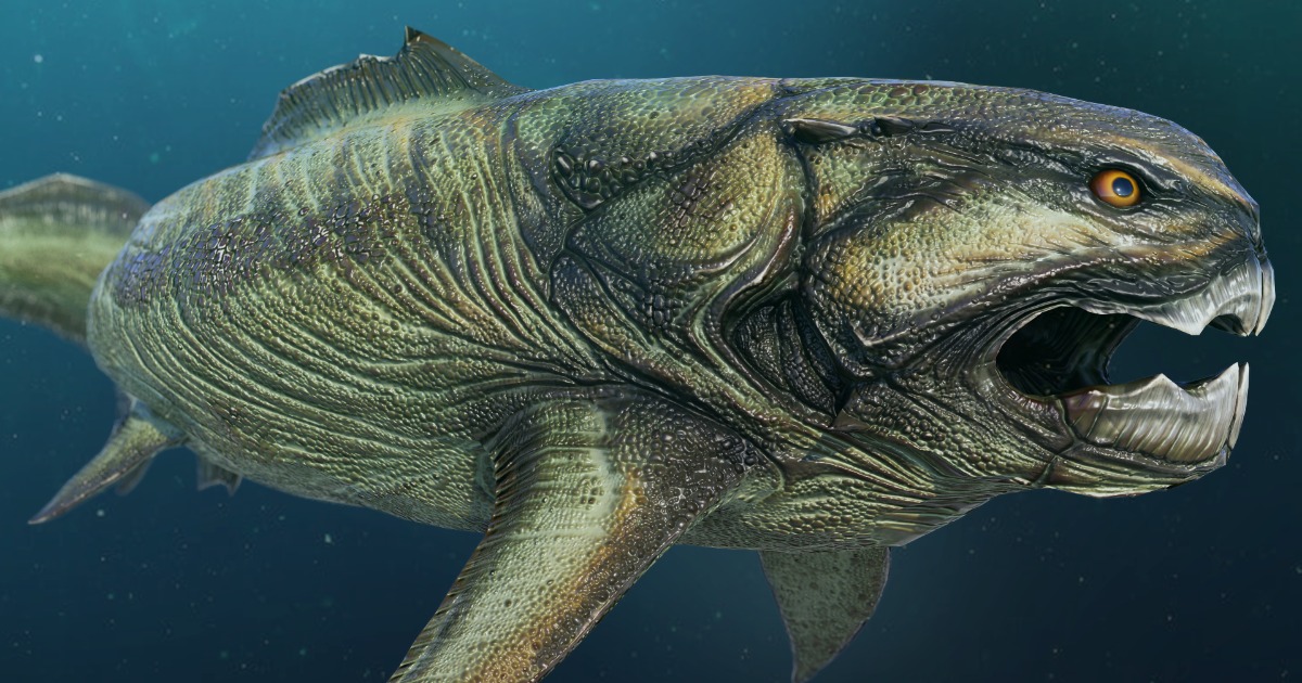 HQ Dunkleosteus | Characters | Unity Asset Store