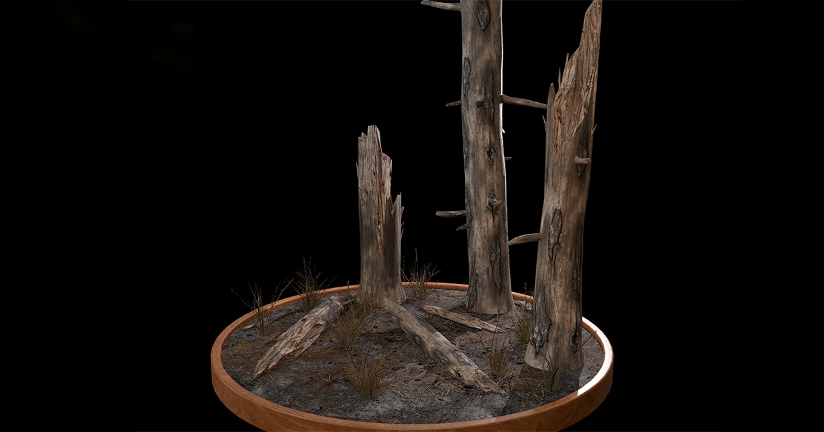 Nature Assets - Burnt Trees | 3D | Unity Asset Store
