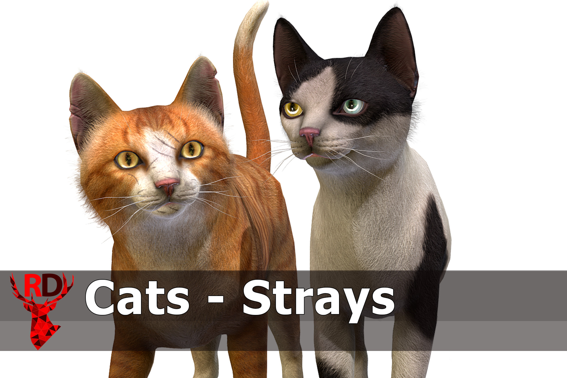Cats - Strays | 角色 | Unity Asset Store